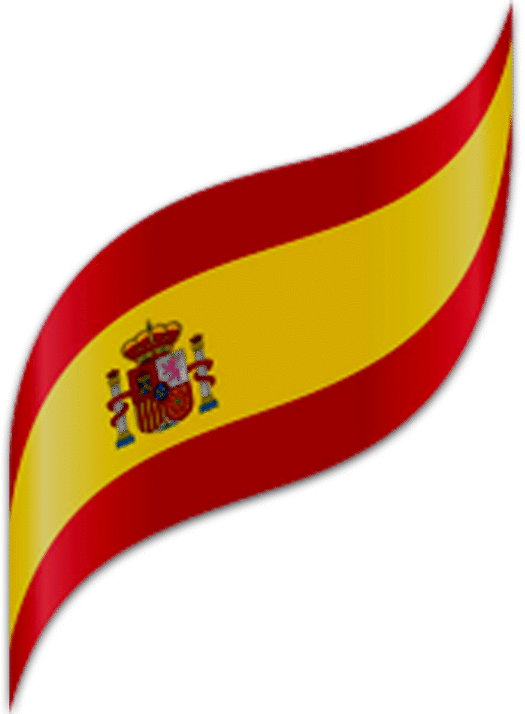 International Family Law services - Pellicer & Heredia